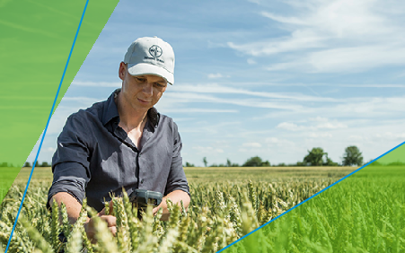 Bayer kasvinsuojeluaineet - Bayer Crop Science